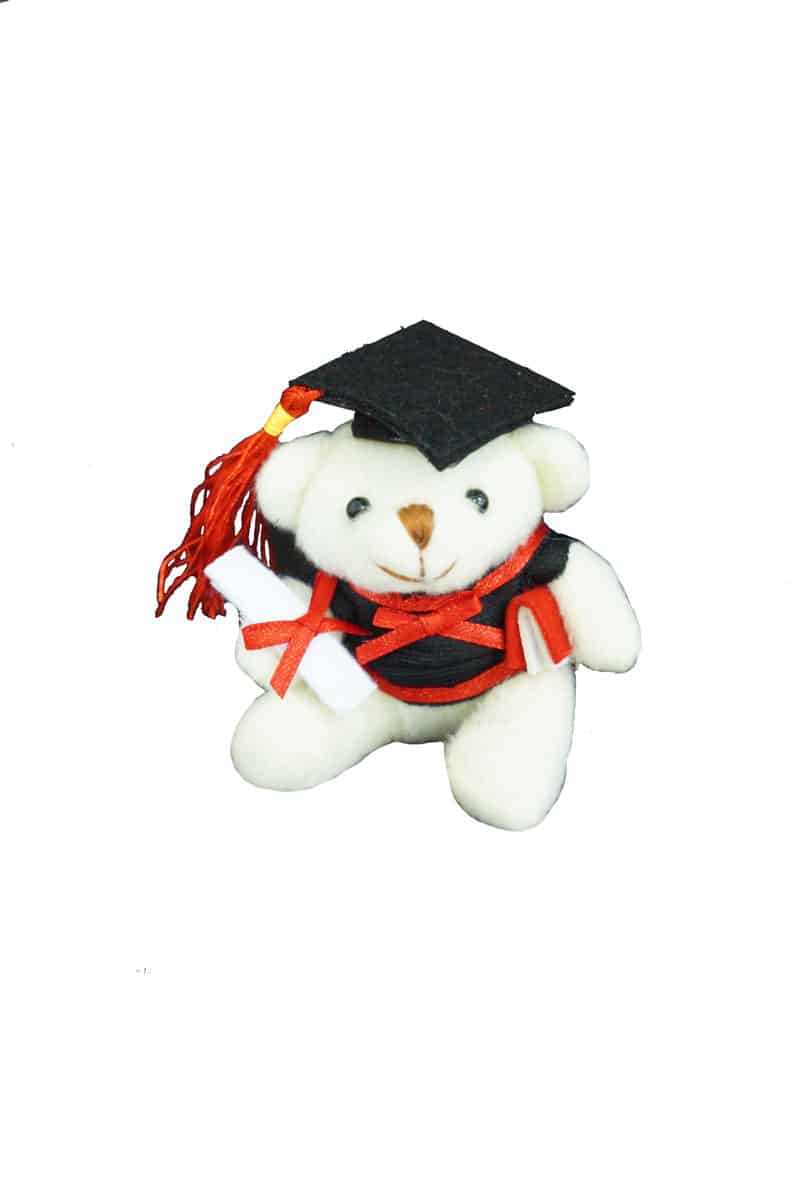 Small Graduation Bear | Flowers and Kisses Flowers and Kisses