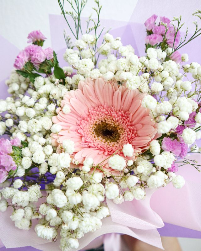 Single Stalk Daisy | Same Day Delivery | Flowers and Kisses