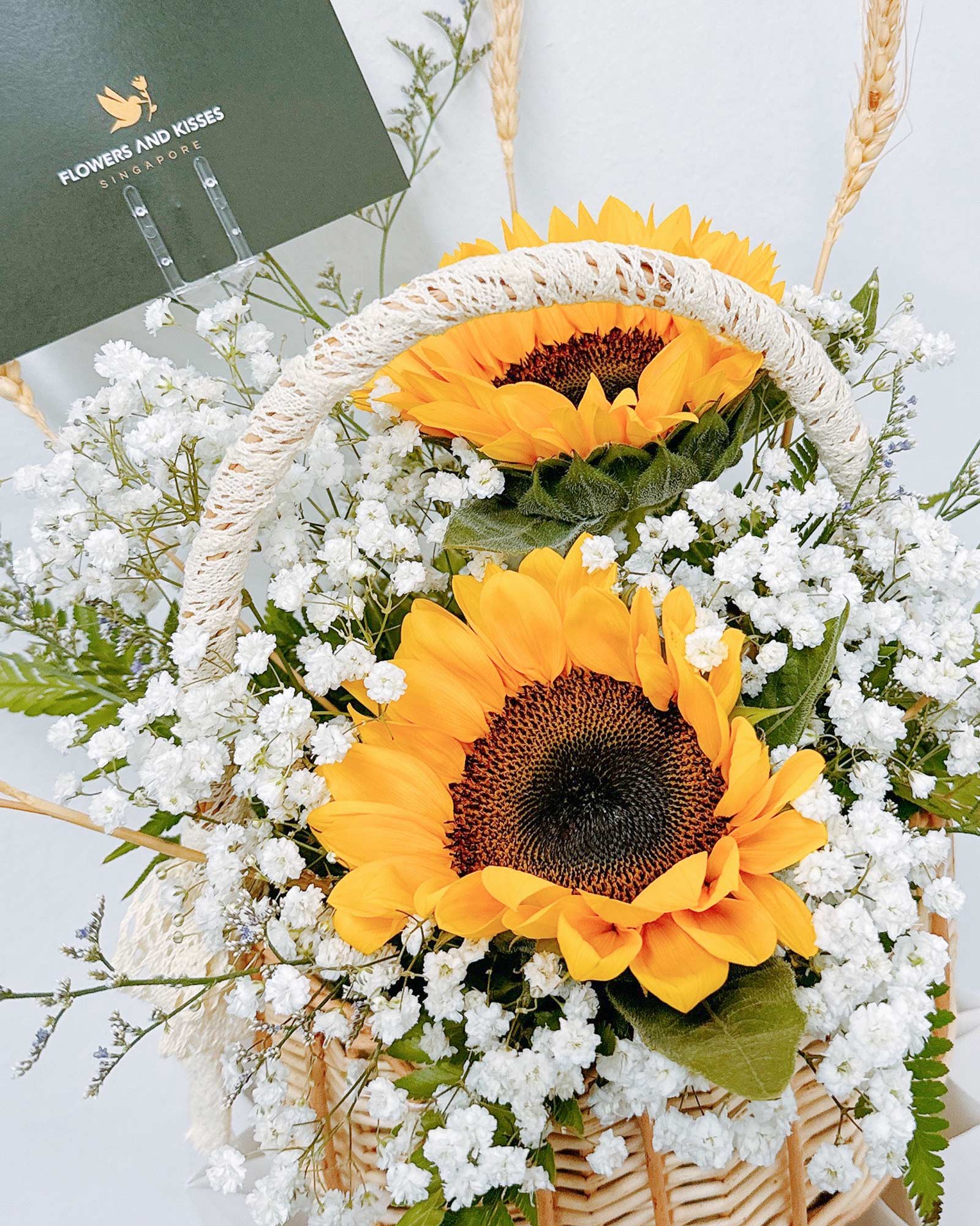 Mezzo | Dried & Preserved Flowers | Flowers and Kisses