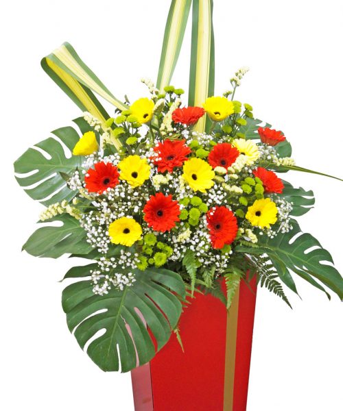 Victory | Flowers and Kisses