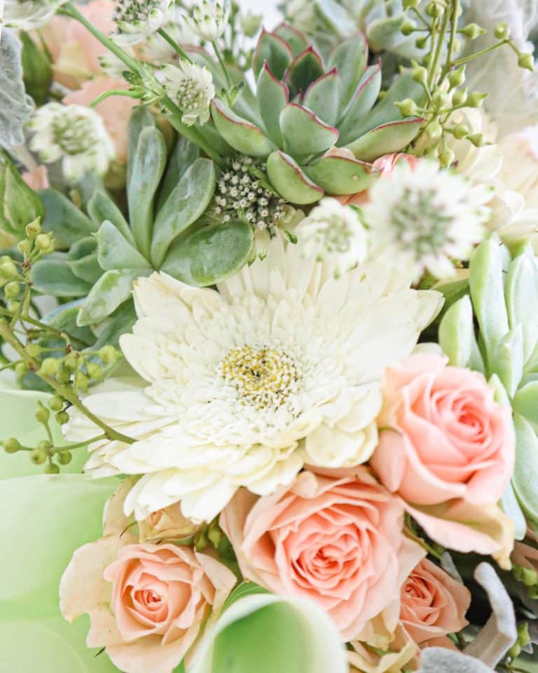 Penelope | Flowers and Kisses