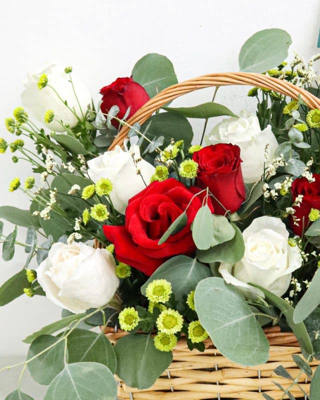 Belinda | Flowers and Kisses