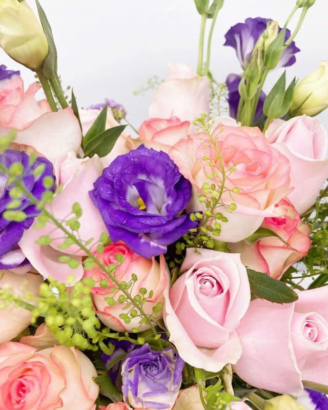 Cynthia | Flowers and Kisses