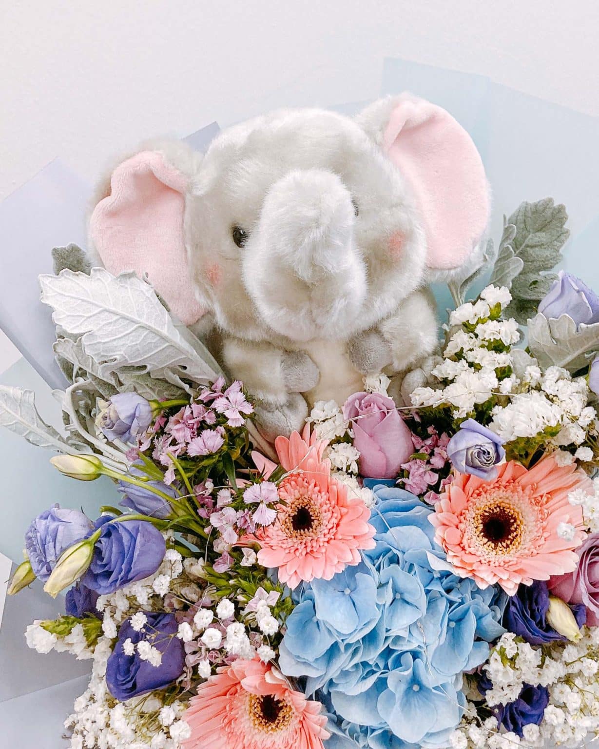 Bobo | Flowers and Kisses