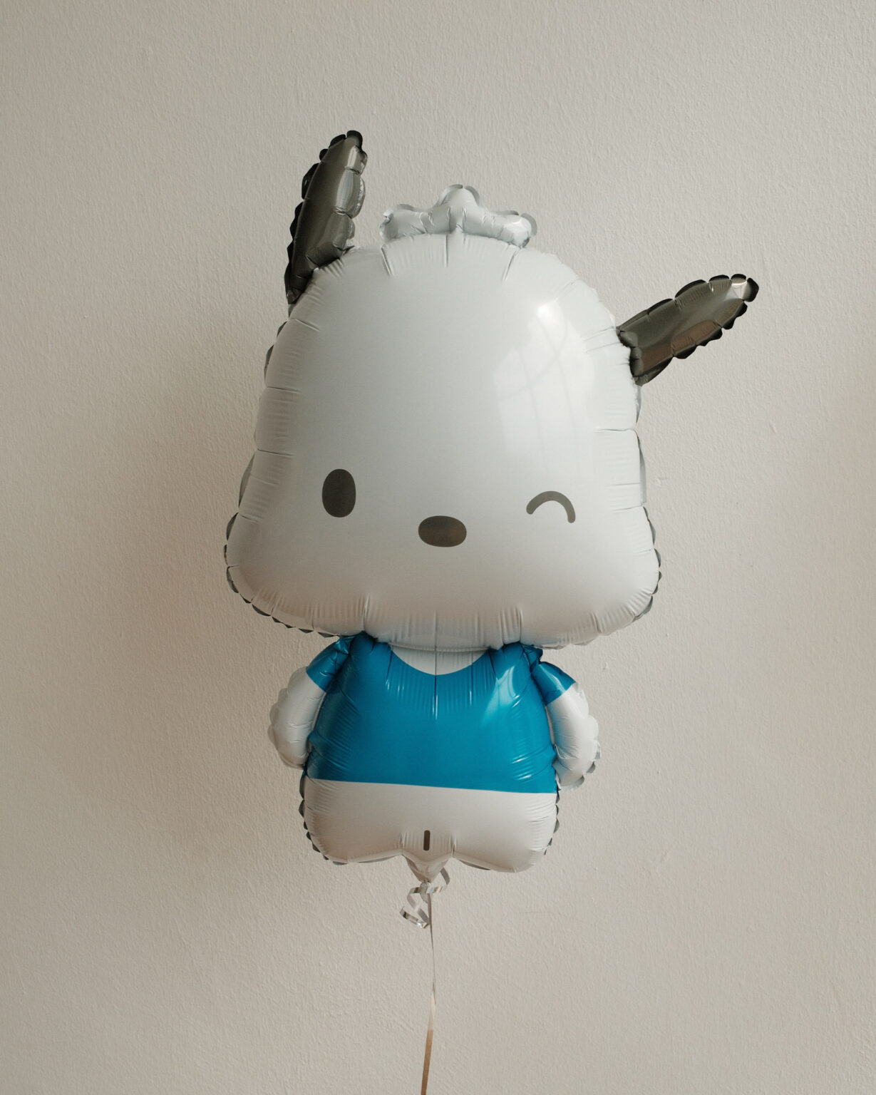 Pochacco Foil Helium Balloon | Flowers and Kisses